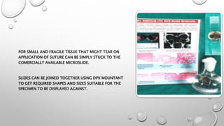 MUSEUM PREPARATION.pptx