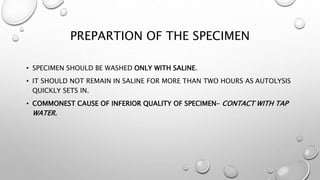 MUSEUM PREPARATION.pptx