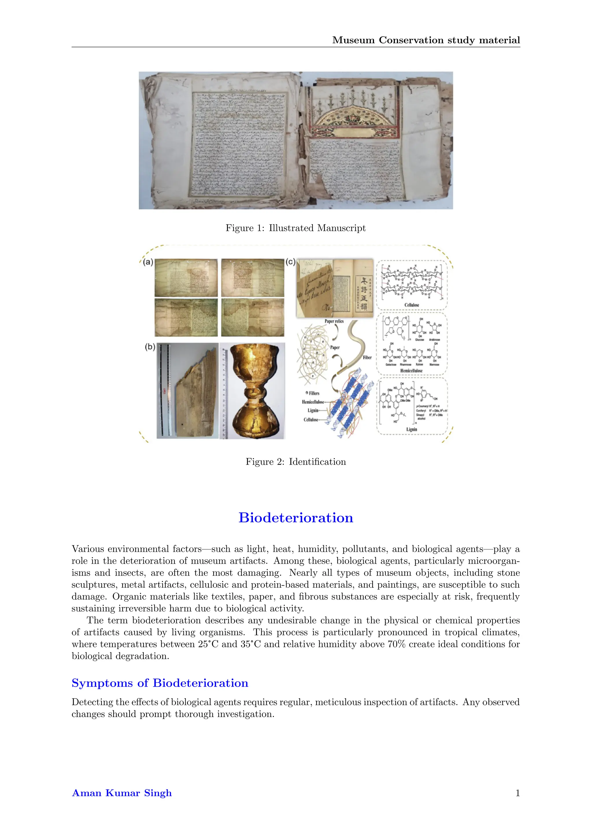 MUSEUM CONSERVATION STUDY MATERIAL Aman Kumar Singh | PDF