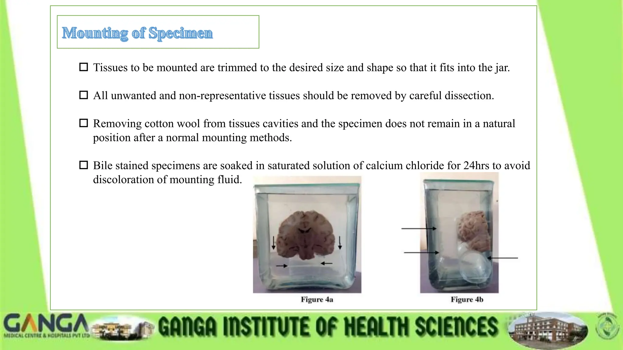 MUSEUM TECHNIQUES PREPARATION AND STORAGE-1.pptx