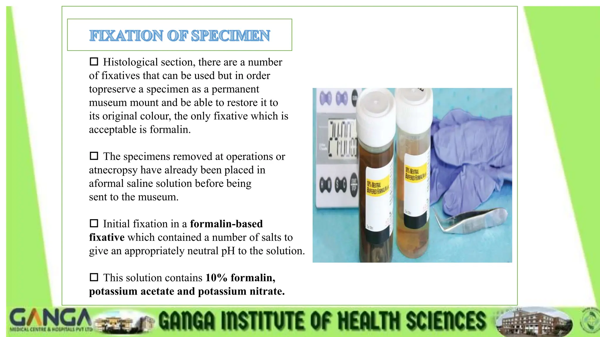 MUSEUM TECHNIQUES PREPARATION AND STORAGE-1.pptx