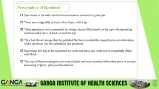 MUSEUM TECHNIQUES PREPARATION AND STORAGE-1.pptx