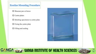 MUSEUM TECHNIQUES PREPARATION AND STORAGE-1.pptx