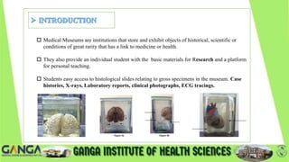 MUSEUM TECHNIQUES PREPARATION AND STORAGE-1.pptx