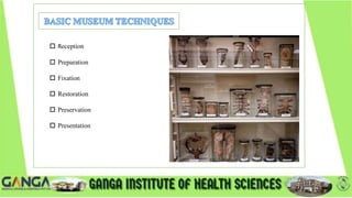 MUSEUM TECHNIQUES PREPARATION AND STORAGE-1.pptx