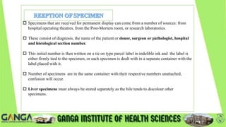MUSEUM TECHNIQUES PREPARATION AND STORAGE-1.pptx
