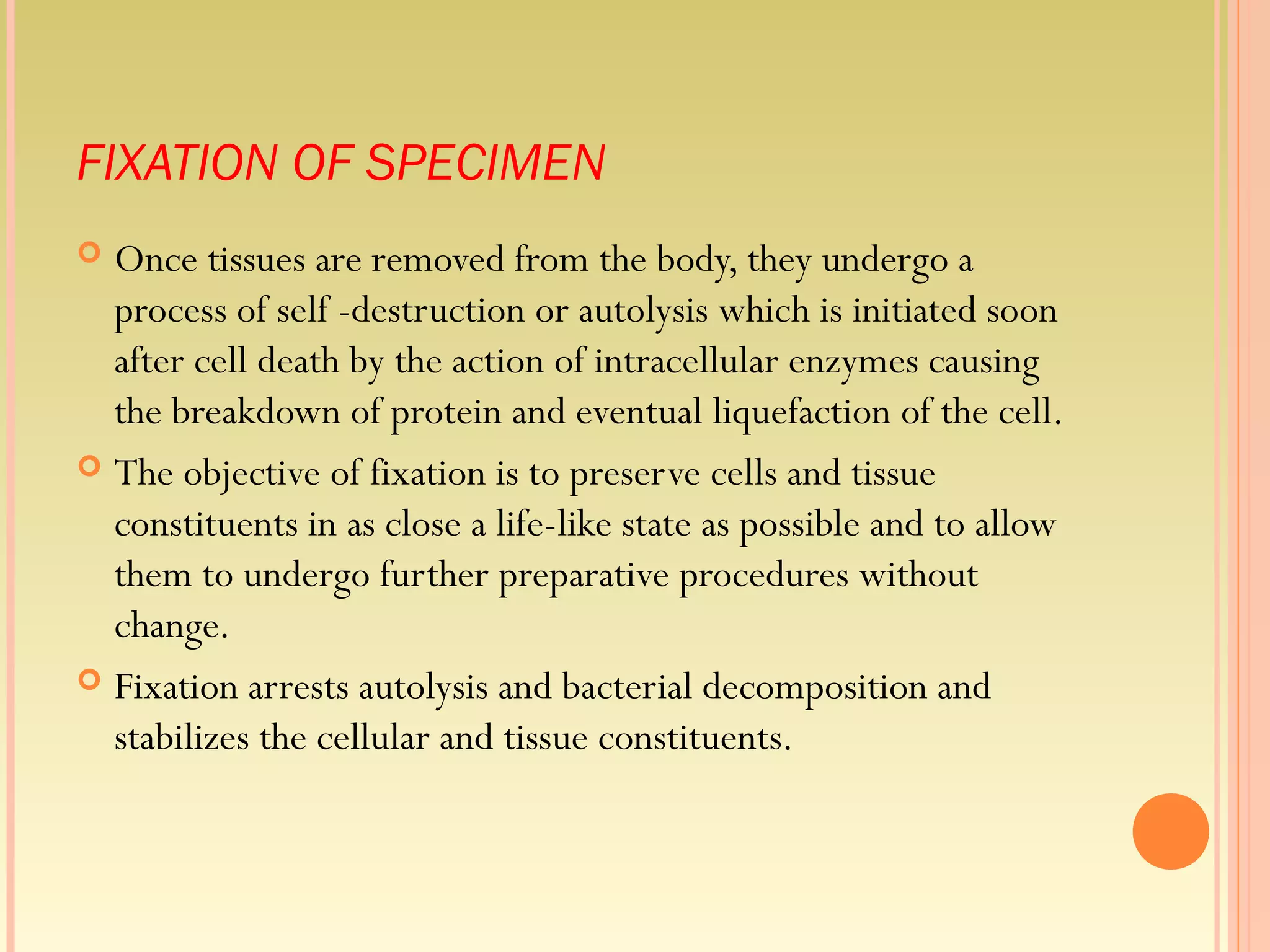 Museum techniques | PPT