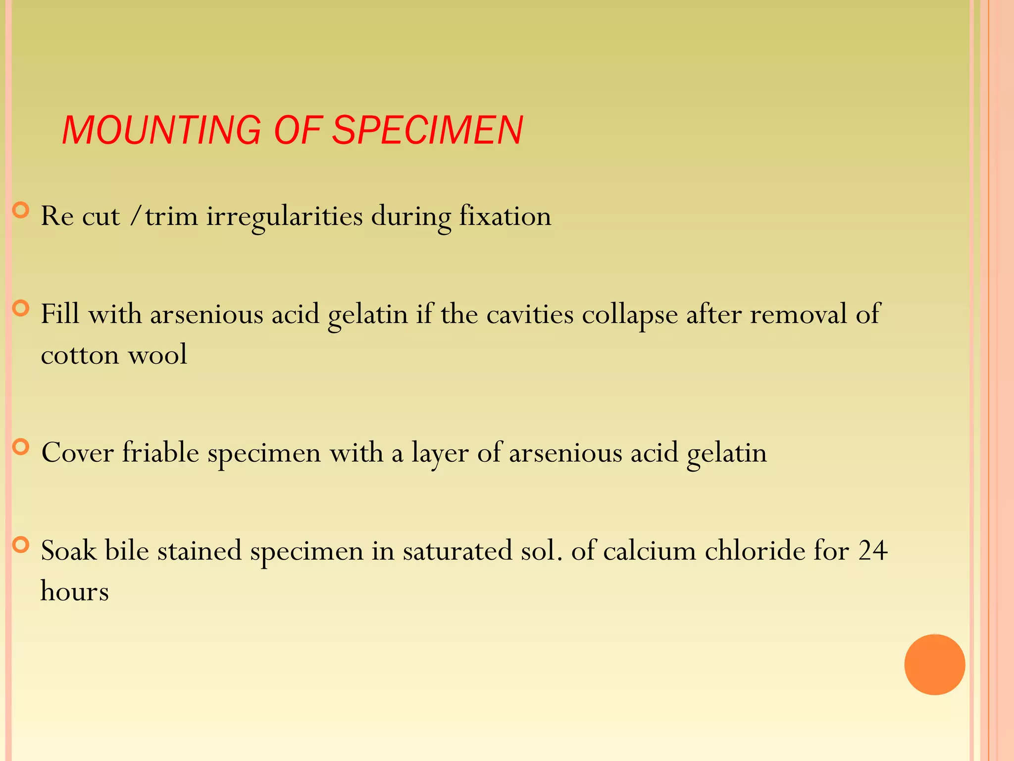 Museum Techniques Ppt