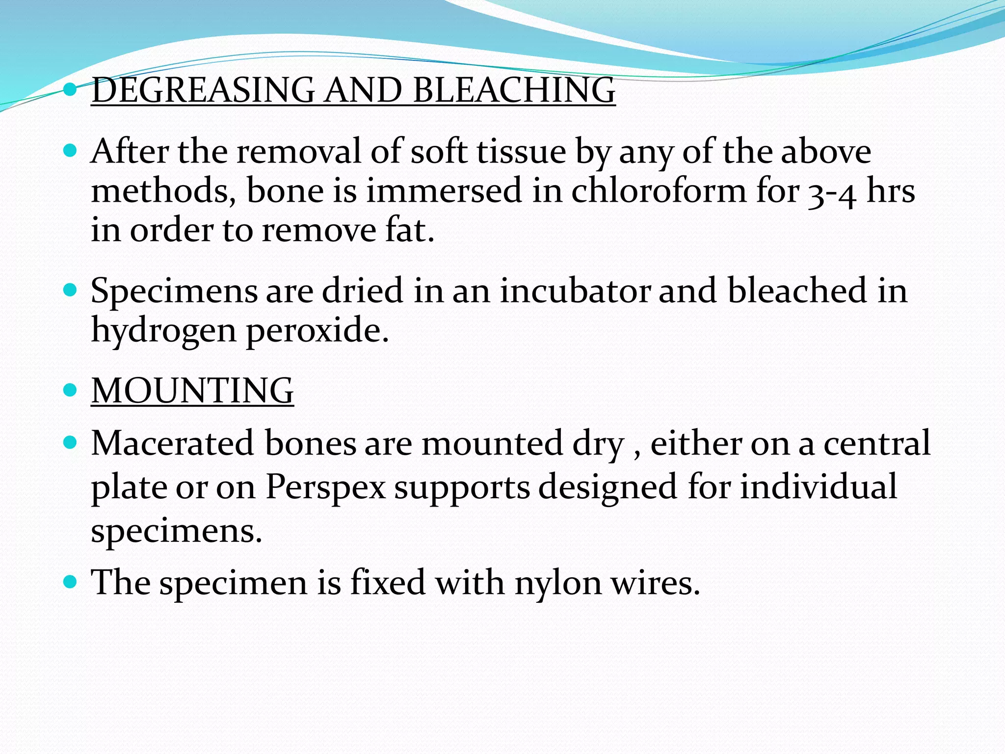 Museum techniques | PPTX