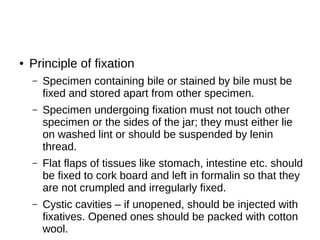 Museum techniques | ODP