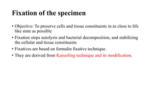 museum techniques in pathology.pptx