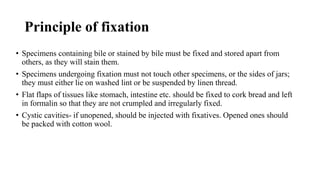 museum techniques in pathology.pptx