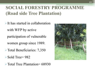 Social Forestry by TMSS in Bangladesh | PPT