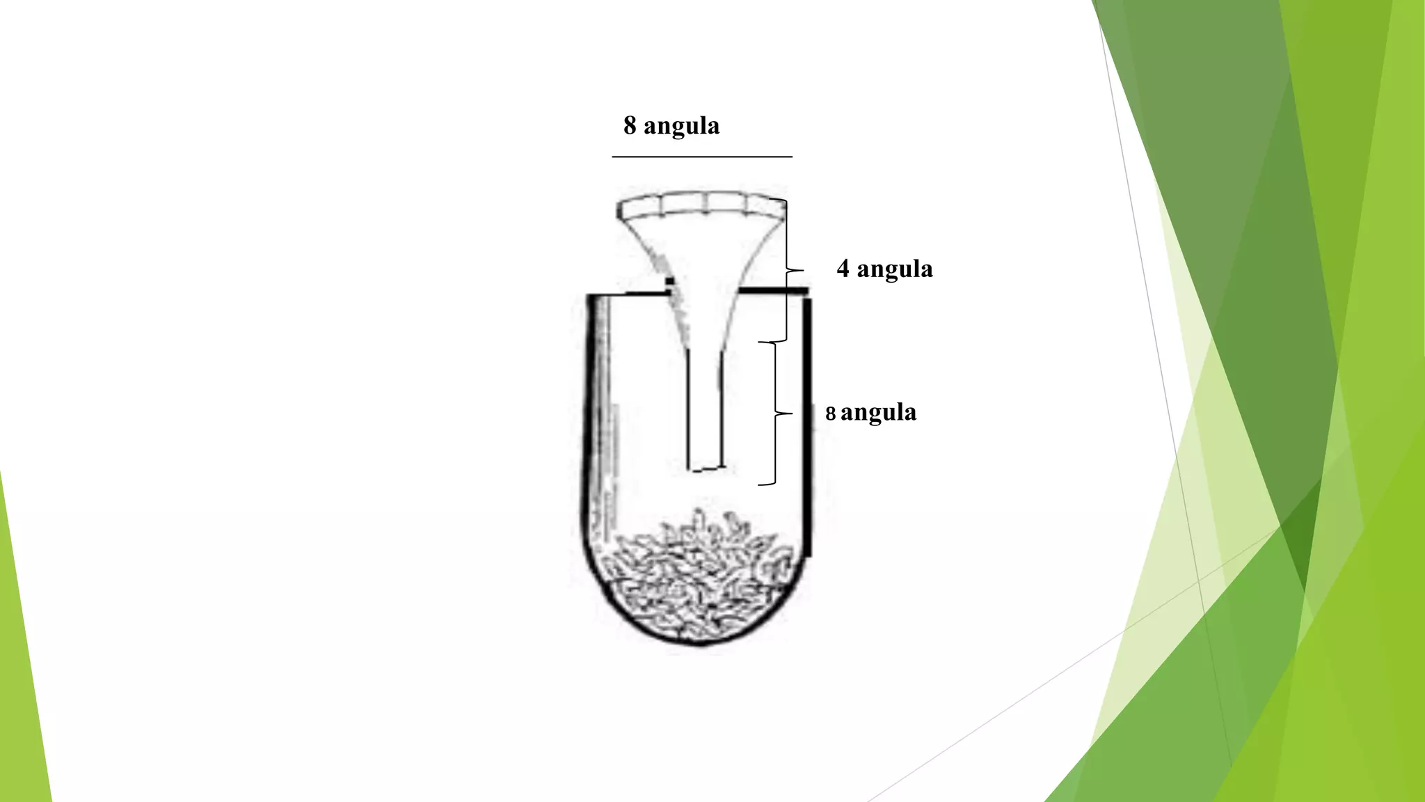 Brief description & application of Musha (Crucible) | PPTX