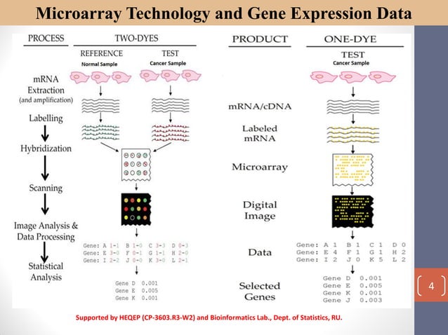 Robust Prediction of Cancer Disease Using Pattern Classification of ...