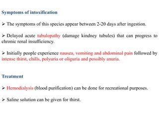 Mushroom | PPTX | Digestive Disorders | Diseases and Conditions
