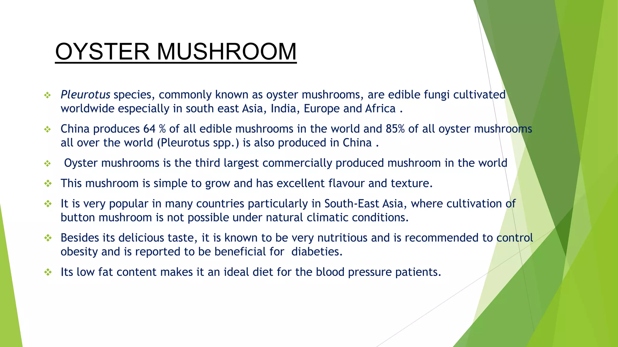 Mushroom | PPTX