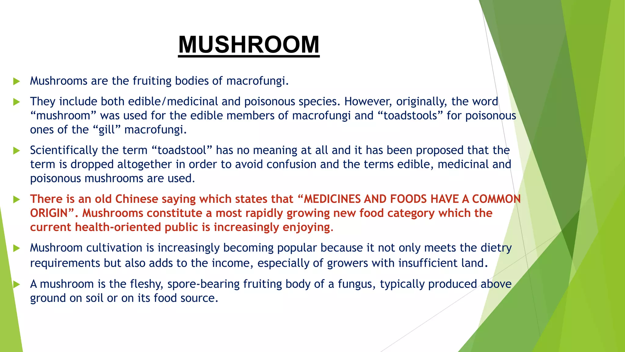 Mushroom | PPTX