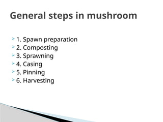 mushroom - preparation of spawn in detail | PPTX
