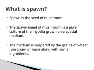 mushroom - preparation of spawn in detail | PPTX