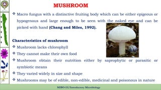 different species of mushroom, spawn production | PPTX