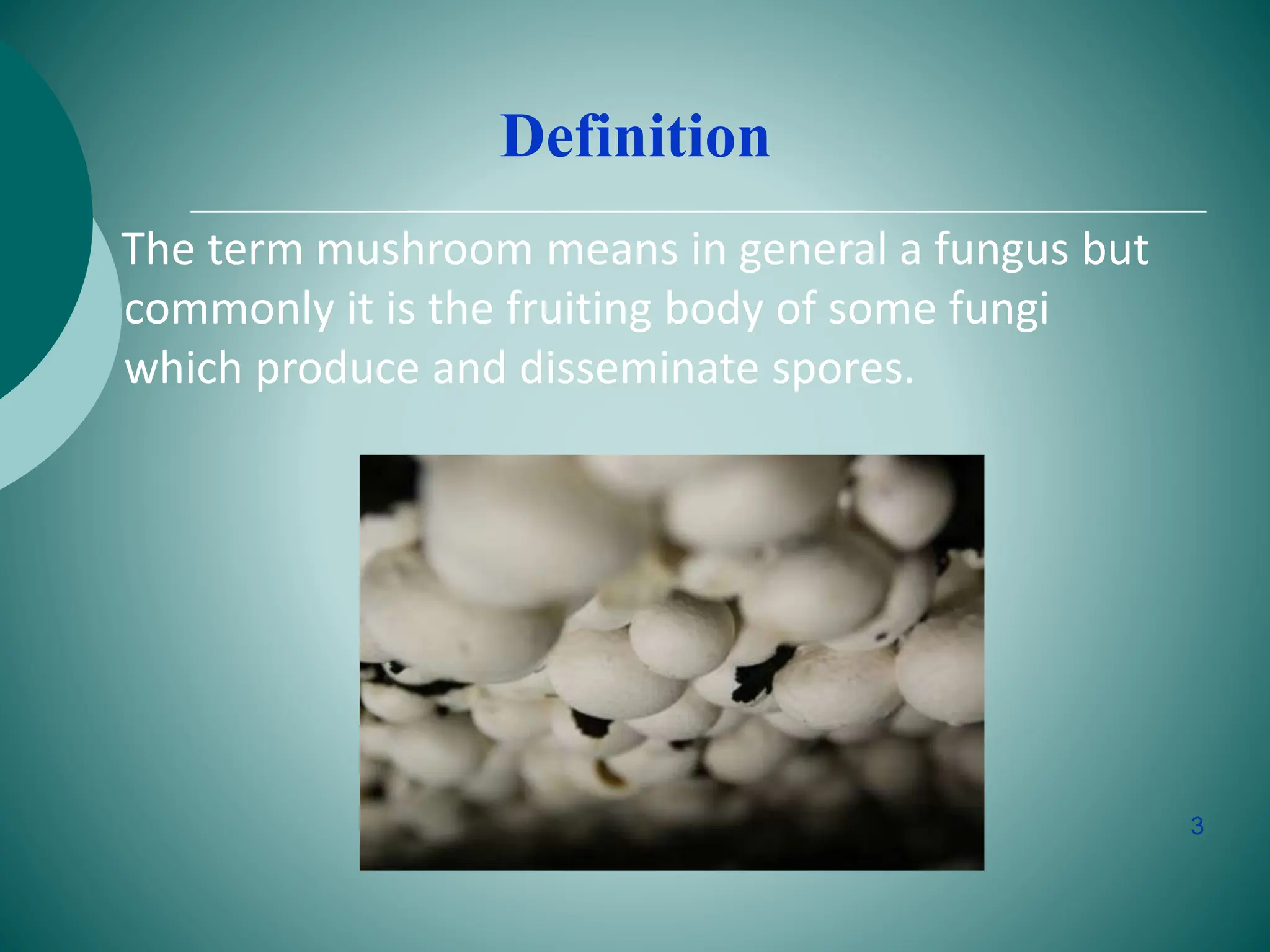 Mushroom-Cultivation-pptt.pptx/////////// | PPTX