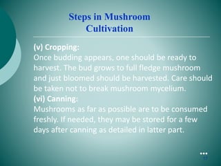 Mushroom-Cultivation-pptt.pptx/////////// | PPTX