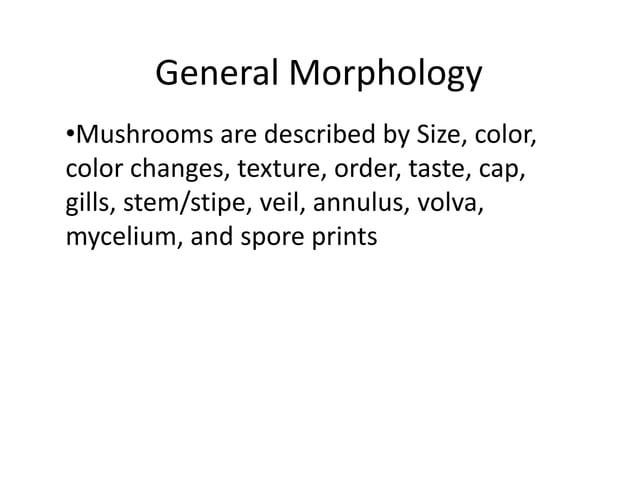 mushroom-morphology.pptx