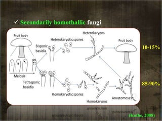 Agaricus Bisporus Life Cycle