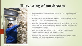 Mushroom cultivation | PPTX