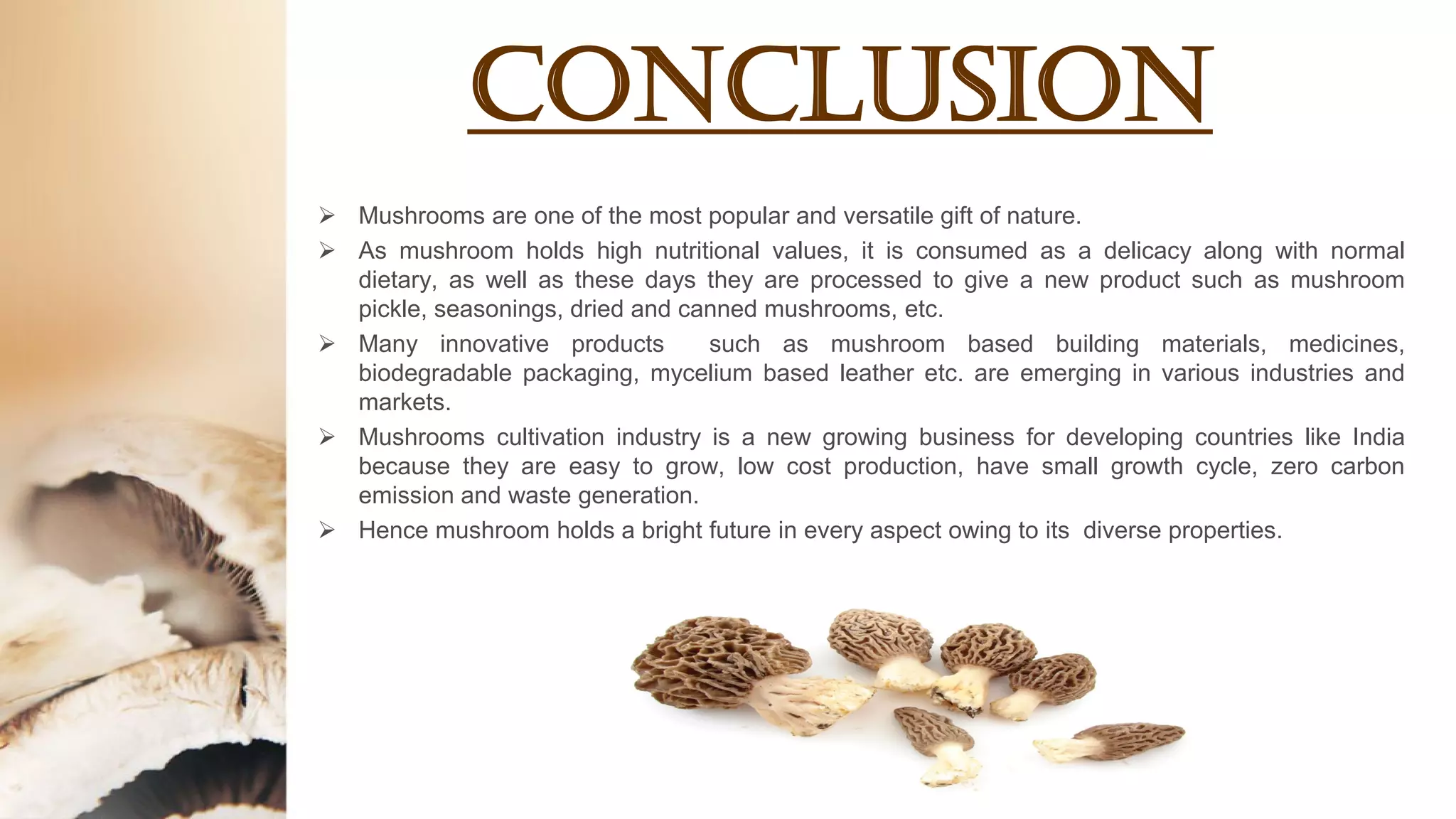 MUSHROOM CULTIVATION AND ITS IMPORTANCE | PDF
