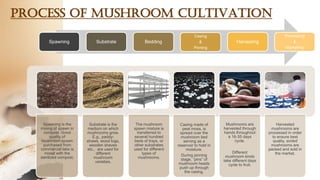 MUSHROOM CULTIVATION AND ITS IMPORTANCE | PDF