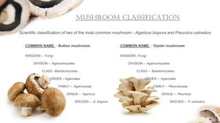 MUSHROOM CULTIVATION AND ITS IMPORTANCE | PDF