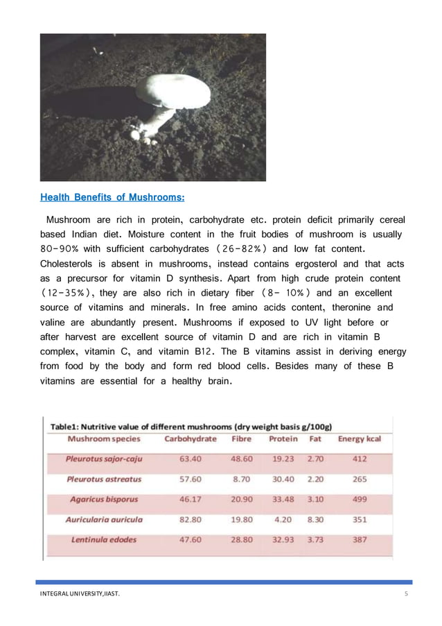 Mushroom cultivation module report.doc