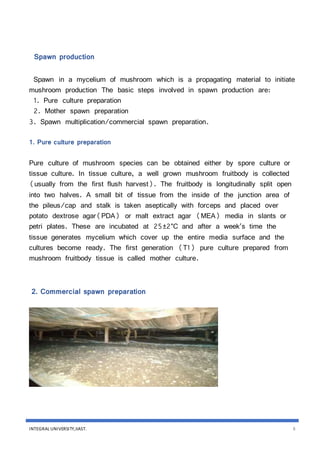 Mushroom cultivation module report.doc