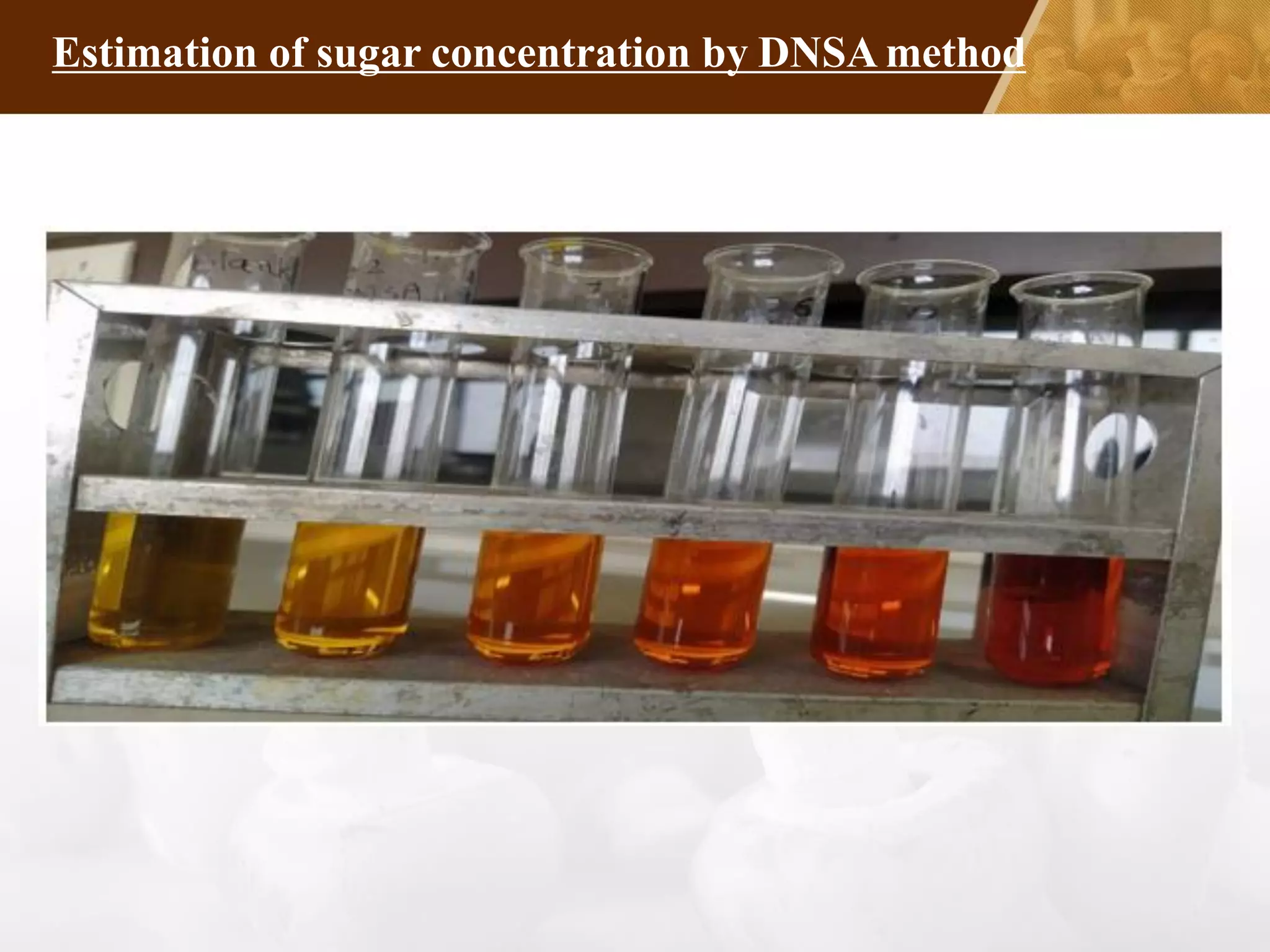 MUSHROOM CULTIVATION.pdf