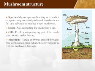 MUSHROOM CULTIVATION.pdf