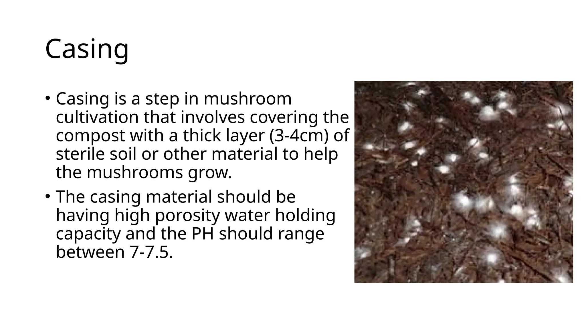 mushroom cultivation of agaricus bisporus and oyster mushroom | PPTX