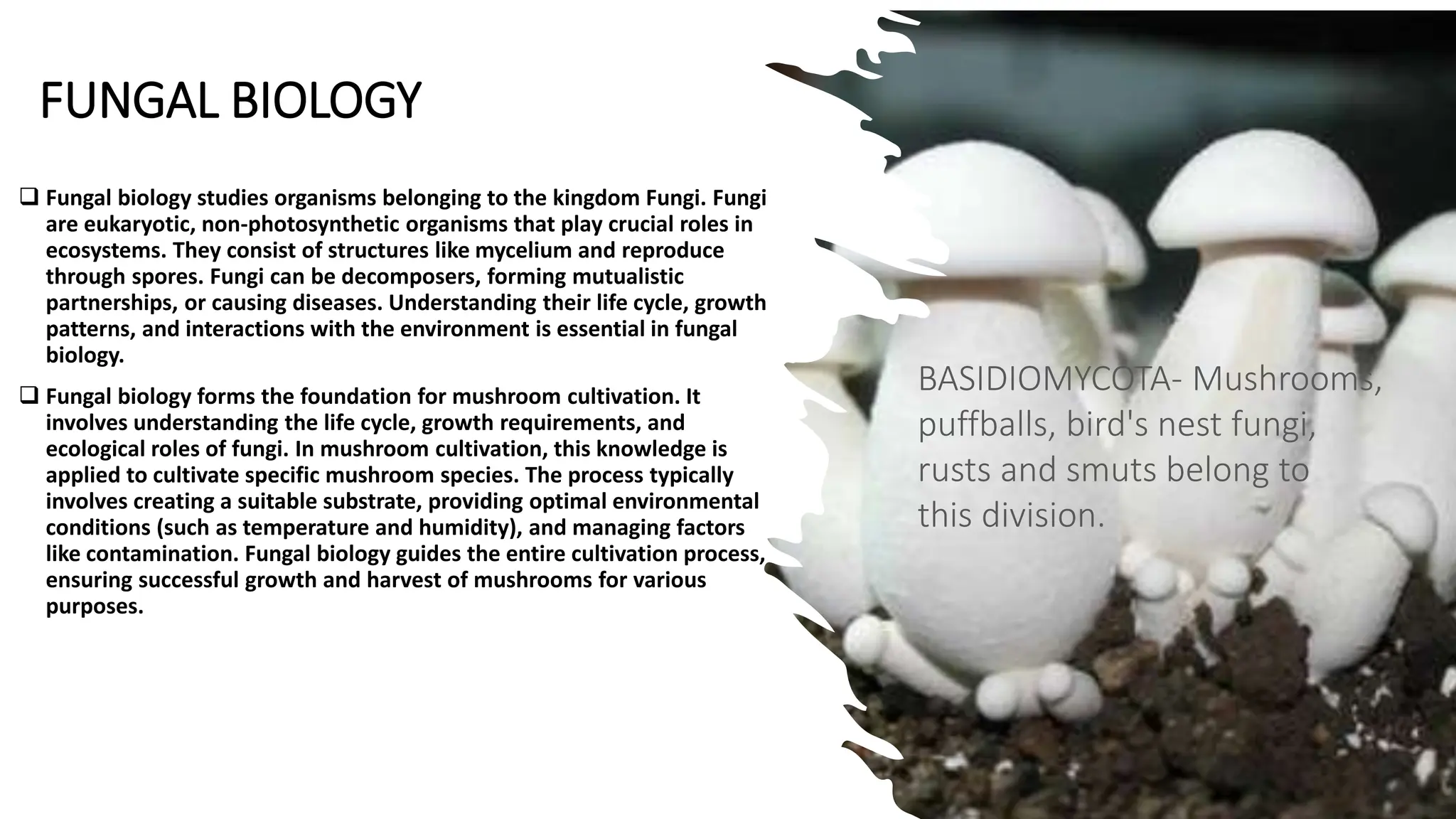 MUSHROOM CULTIVATION1 AND TECHNOLOGY.pptx