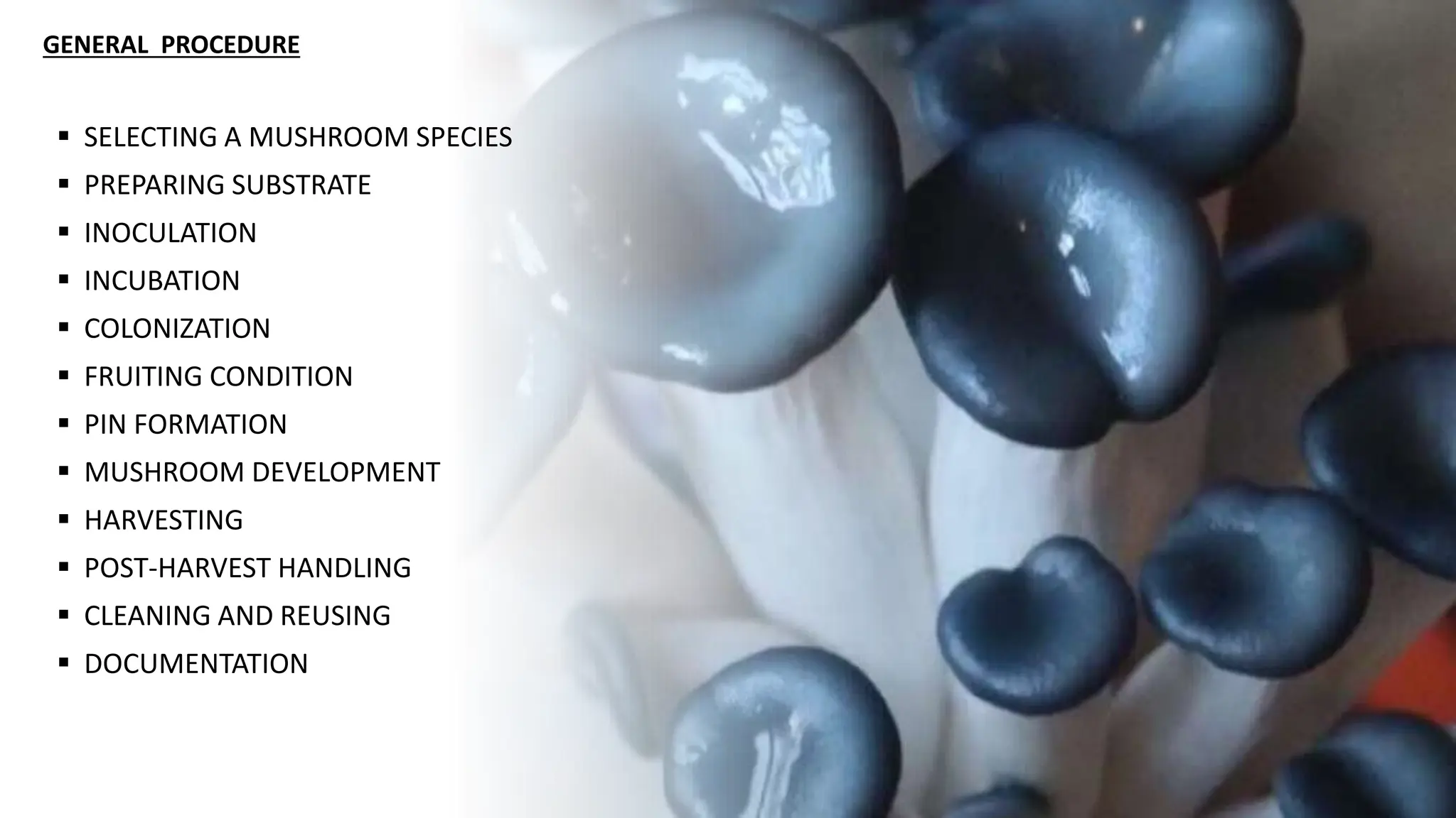 MUSHROOM CULTIVATION1 AND TECHNOLOGY.pptx