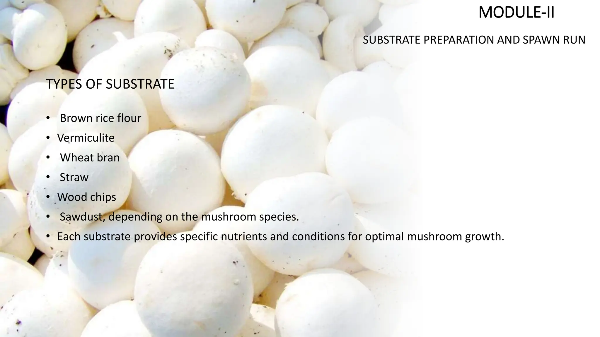 MUSHROOM CULTIVATION1 AND TECHNOLOGY.pptx