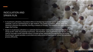 MUSHROOM CULTIVATION1 AND TECHNOLOGY.pptx
