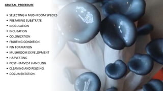 MUSHROOM CULTIVATION1 AND TECHNOLOGY.pptx