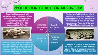 Mushroom cultivation and marketing | PPTX