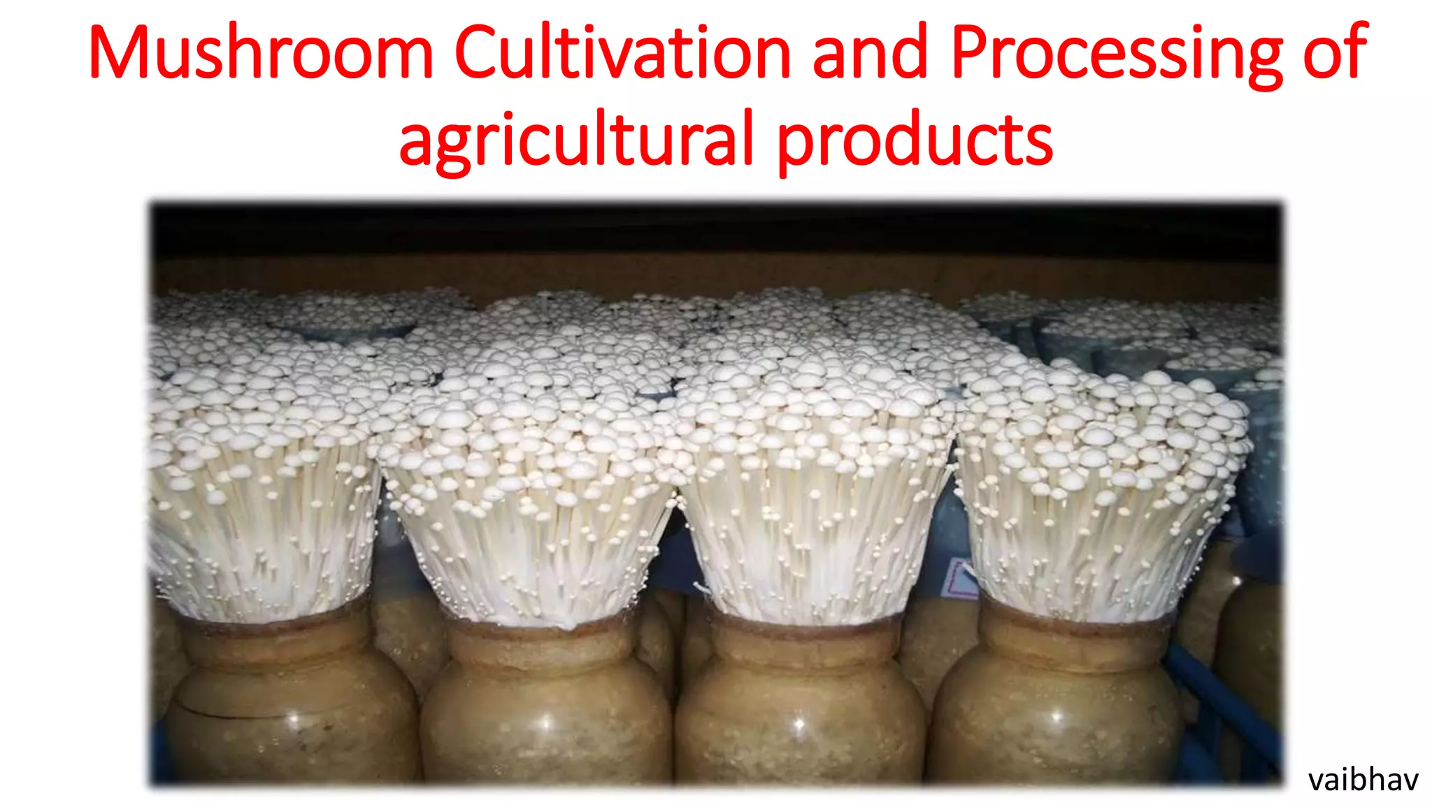 Mushroom cultivation and processing of agricultural products | PPT