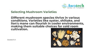 mushroom cultivation process in cold room-awotech.pdf | Gardening ...