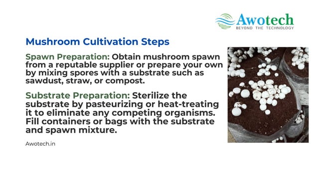 mushroom cultivation process in cold room-awotech.pdf | Gardening ...