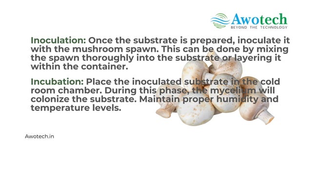 mushroom cultivation process in cold room-awotech.pdf | Gardening ...