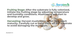 mushroom cultivation process in cold room-awotech.pdf | Gardening ...