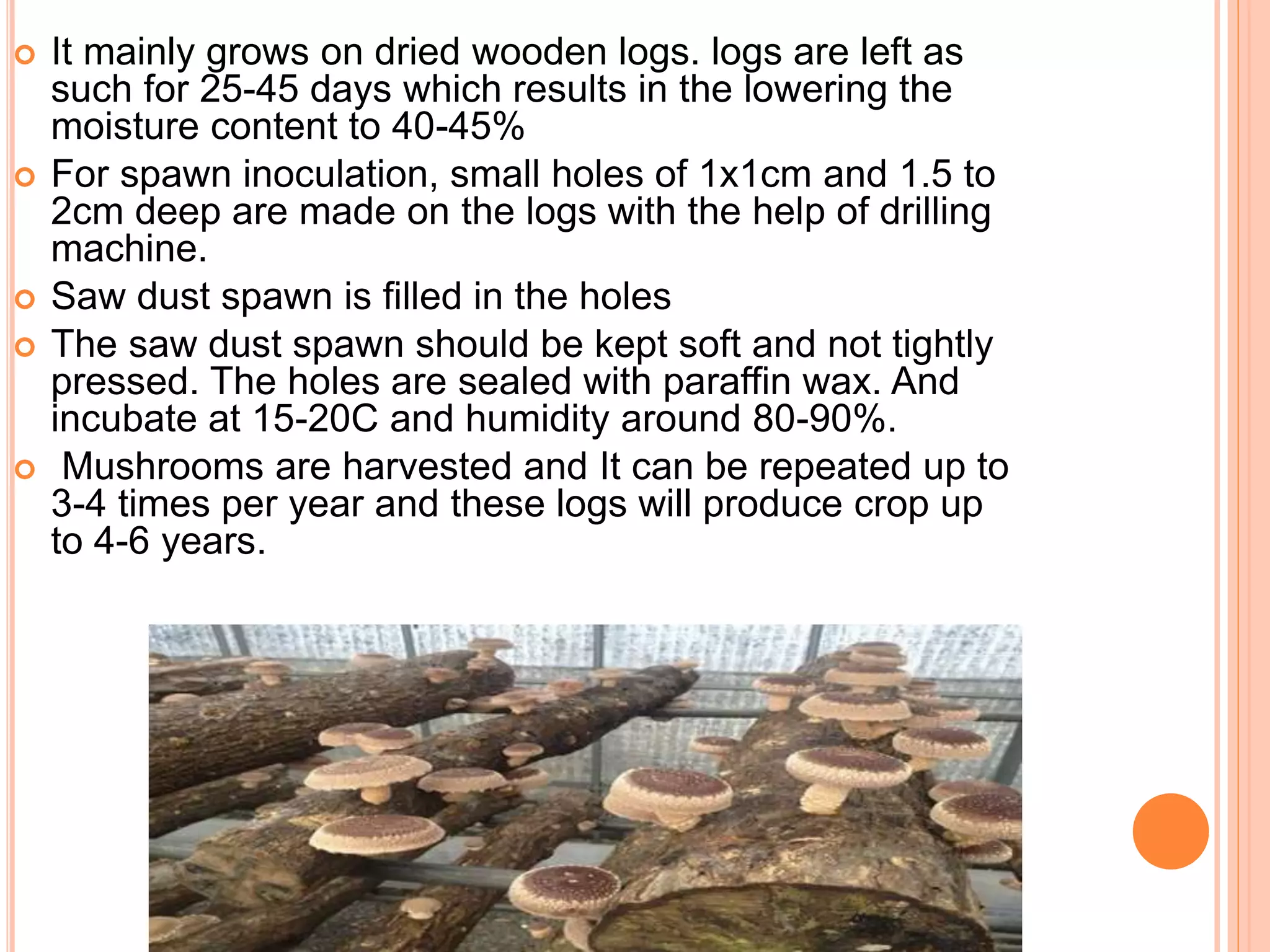 Mushroom cultivation by different fungi | PPTX